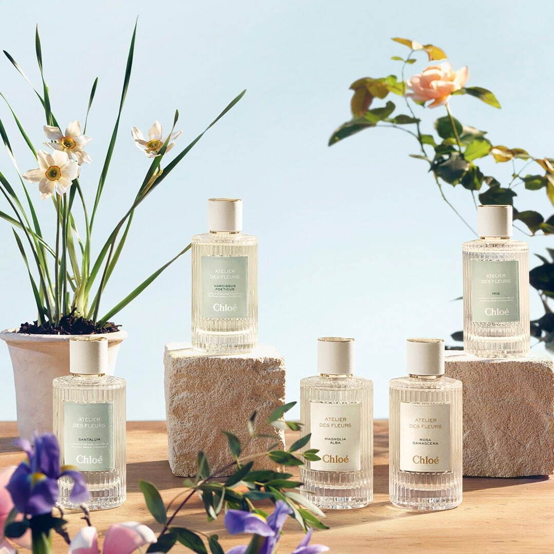 Violette Chloé perfume - a novo fragrância Compartilhável 2022