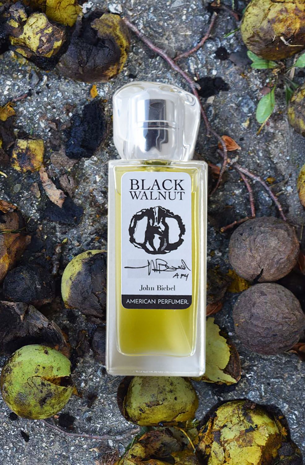 Black Walnut American Perfumer - una novità fragranza unisex 2022