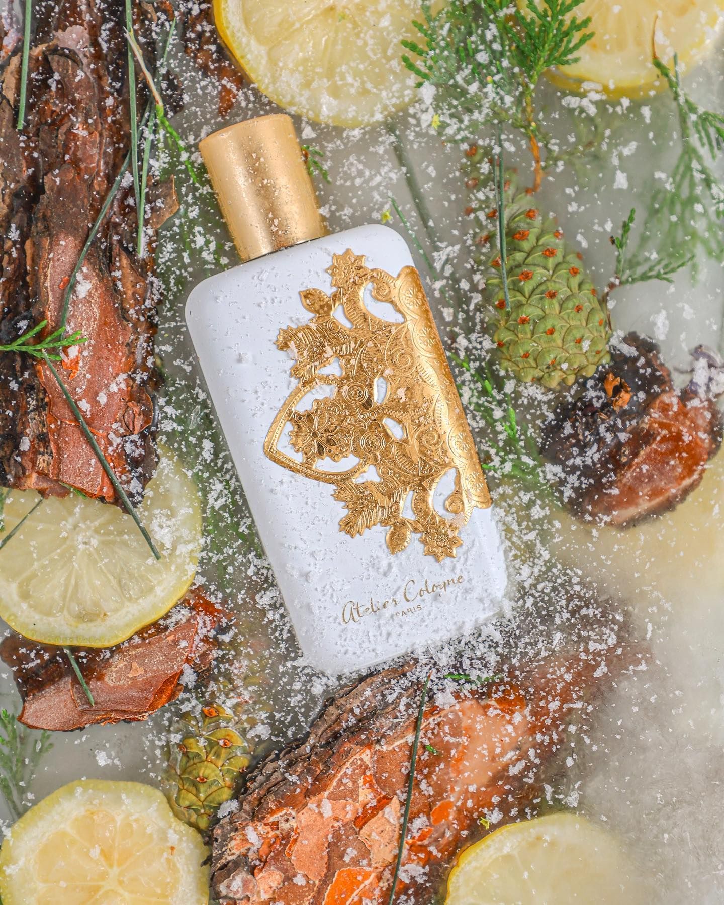 Cèdre Atlas Cologne Absolute Limited Edition Atelier Cologne - una ...