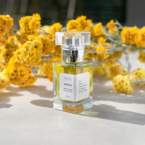 Mimosa BIOCOS άρωμα - ένα νέο άρωμα για γυναίκες και άνδρες 2022