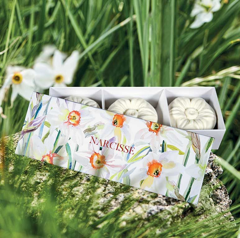 Narcisse Fragonard άρωμα - ένα νέο άρωμα για γυναίκες 2023