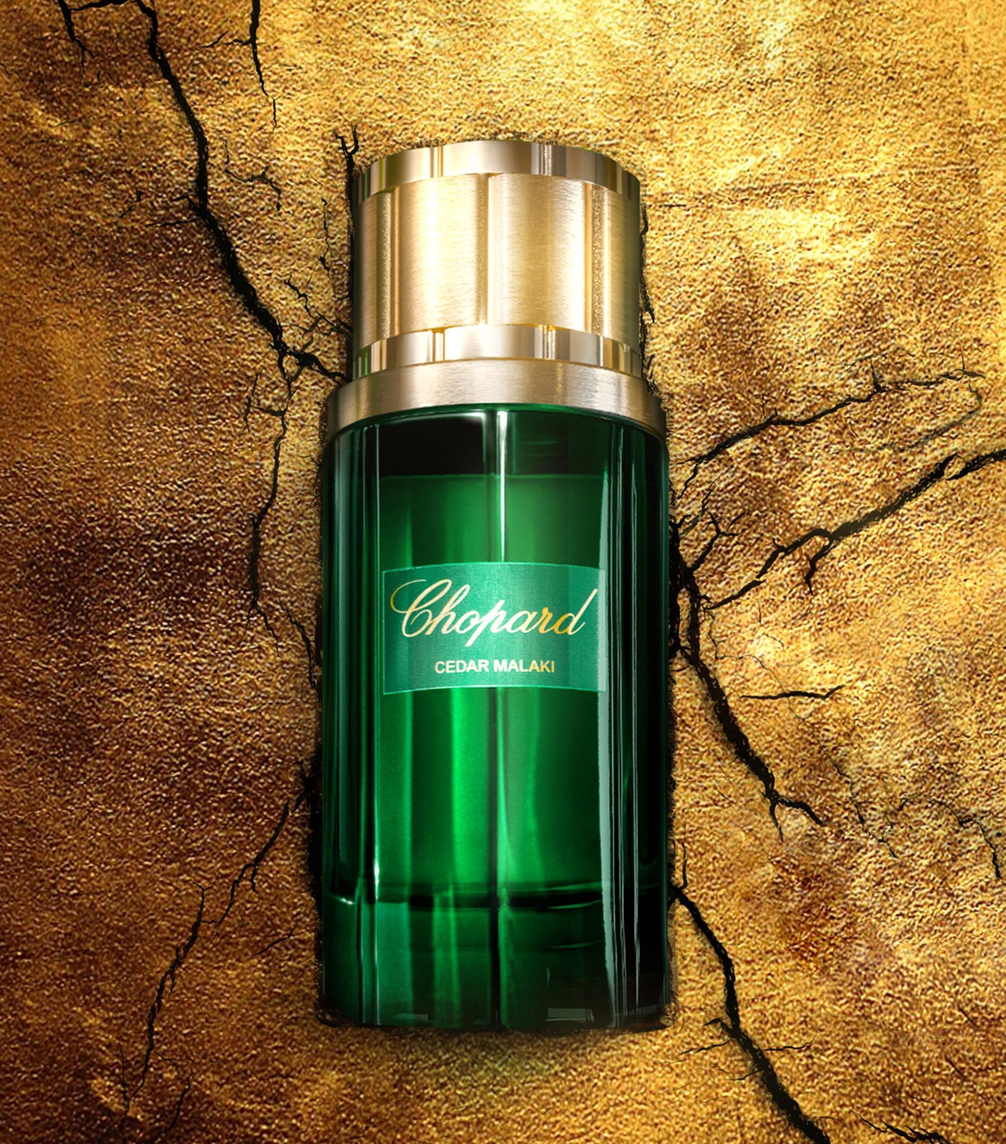 Cedar Malaki Chopard parfum - un nouveau parfum pour homme et femme 2023