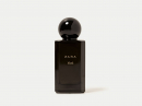 Zara Musk Zara perfume - a fragrance for women 2014