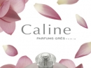 Caline Gres perfume - a fragrância Feminino 2005
