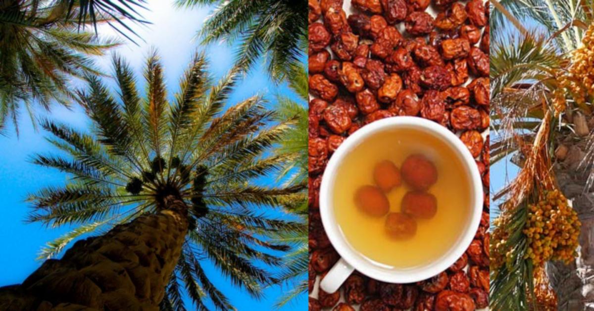 Datteln ~ Düfte und Kulturen