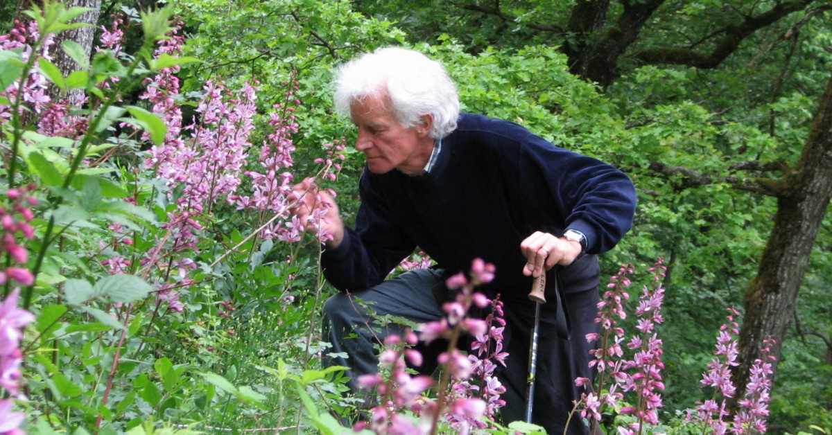 The Big Apple: Die Geschichte von Undecavertol in der zeitgenössischen ...