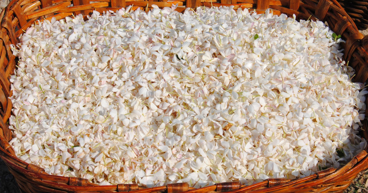 Der Gestank von ... Überregulierung ~ Kolumnen