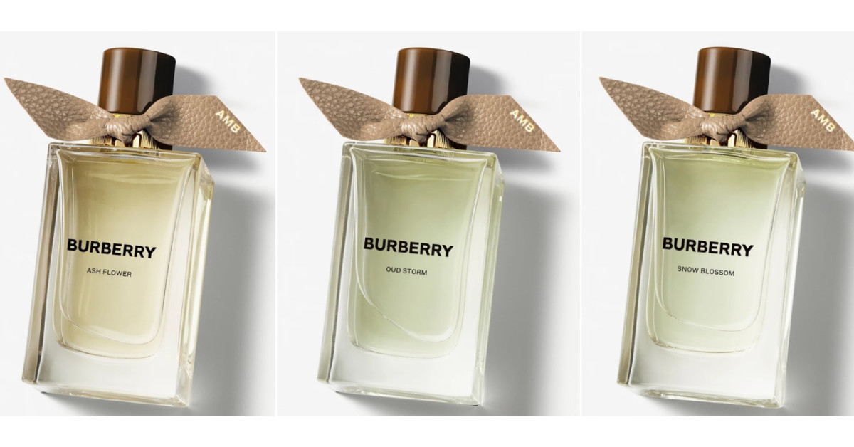 Nueva Colección Burberry Signatures: Ash Flower, Oud Storm, Snow ...