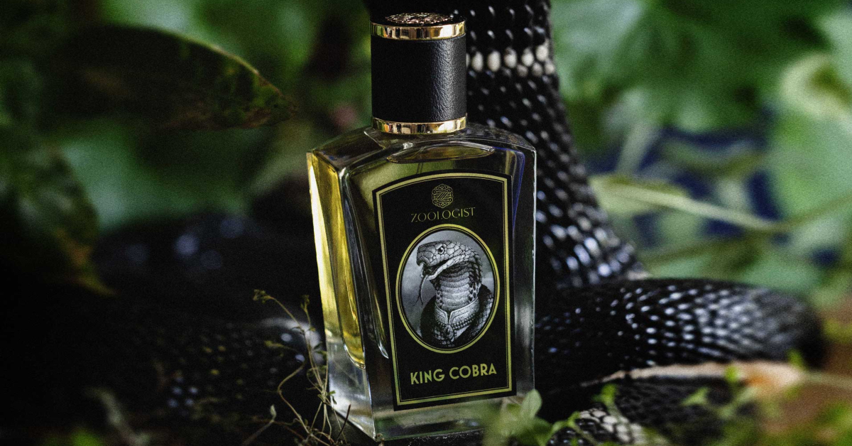 King Cobra by Zoologist Perfumes ~ Nuevas Fragancias