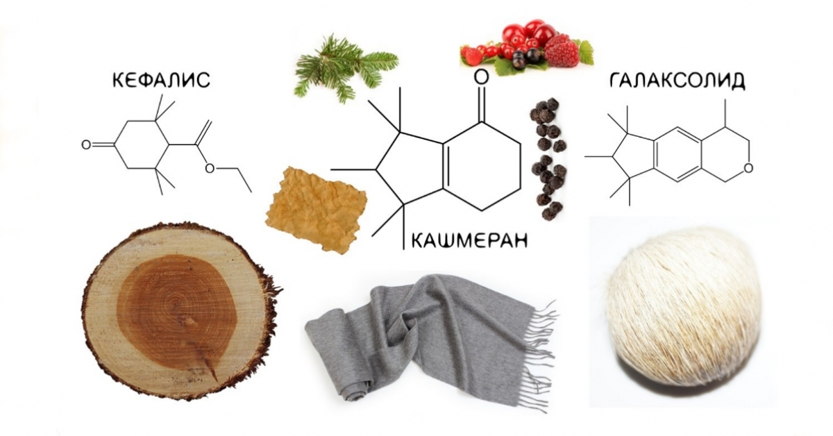 Onde Cresce a Madeira de Caxemira? ~ Matérias primas