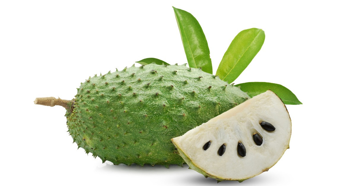 Fruta-do-Conde e Sorvete de Frutas ~ Matérias primas