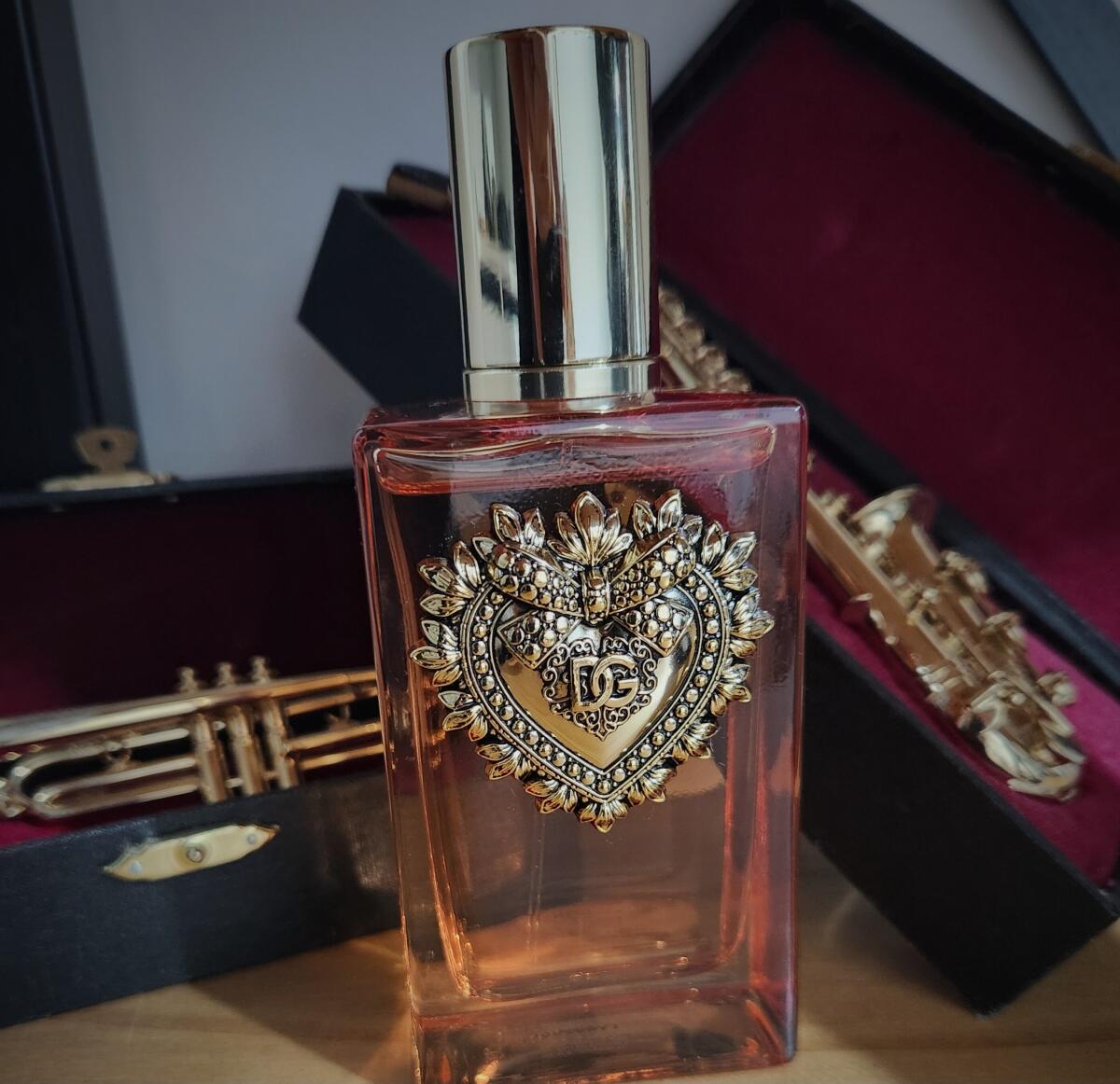 Devotion Intense Dolce&Gabbana fragancia - una nuevo fragancia para ...