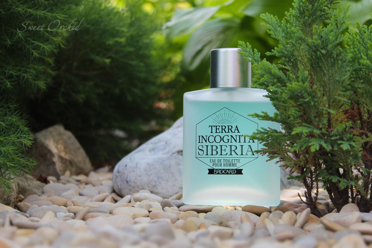 Terra Incognita Siberia Brocard άρωμα - ένα άρωμα για γυναίκες και ...
