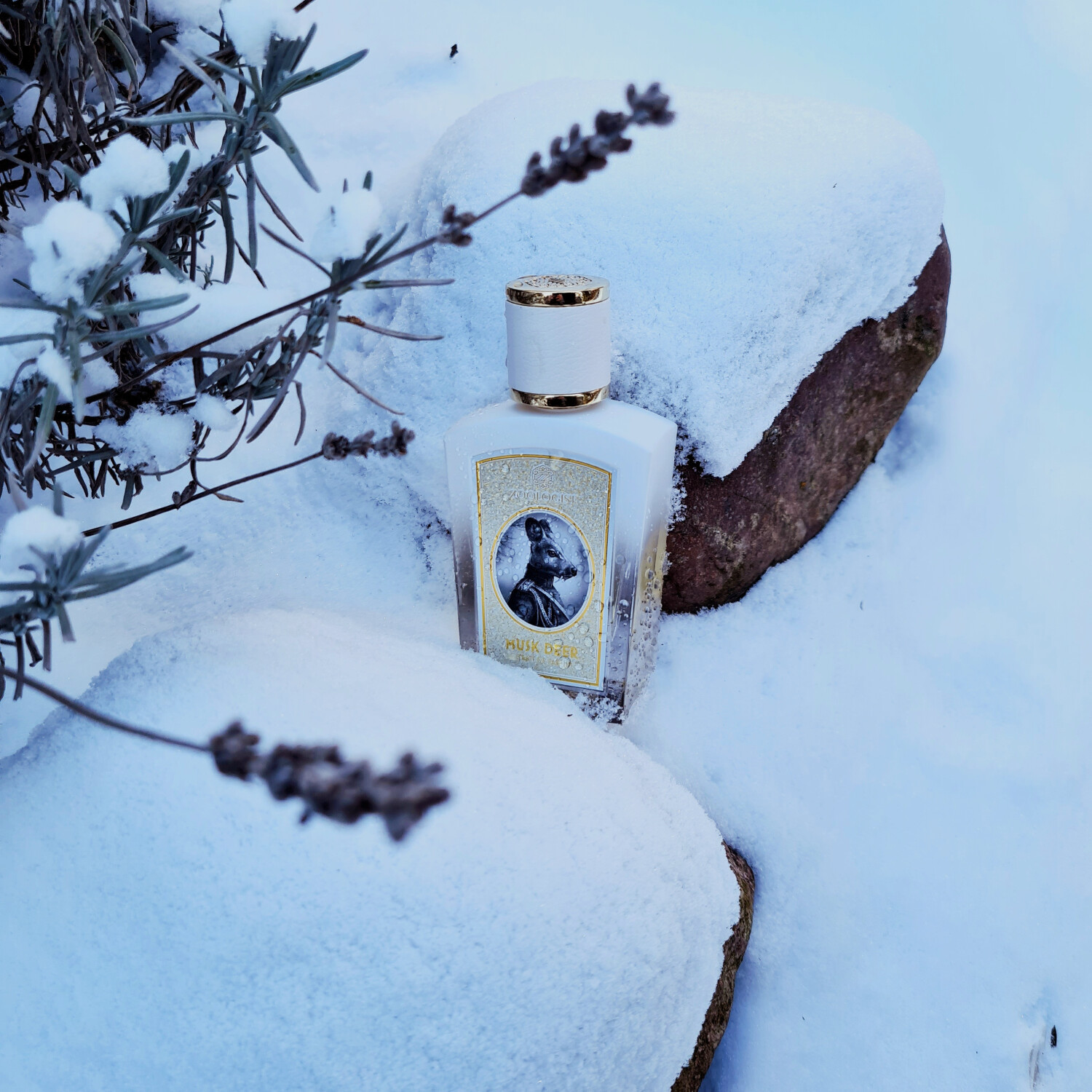 Musk Deer Zoologist Perfumes Parfum - ein es Parfum für Frauen und ...