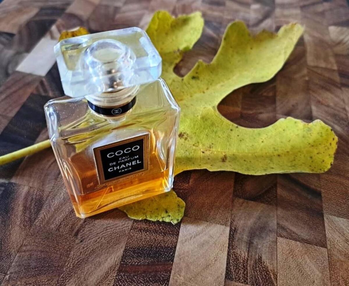 Coco Eau de Parfum Chanel - una fragranza da donna 1984