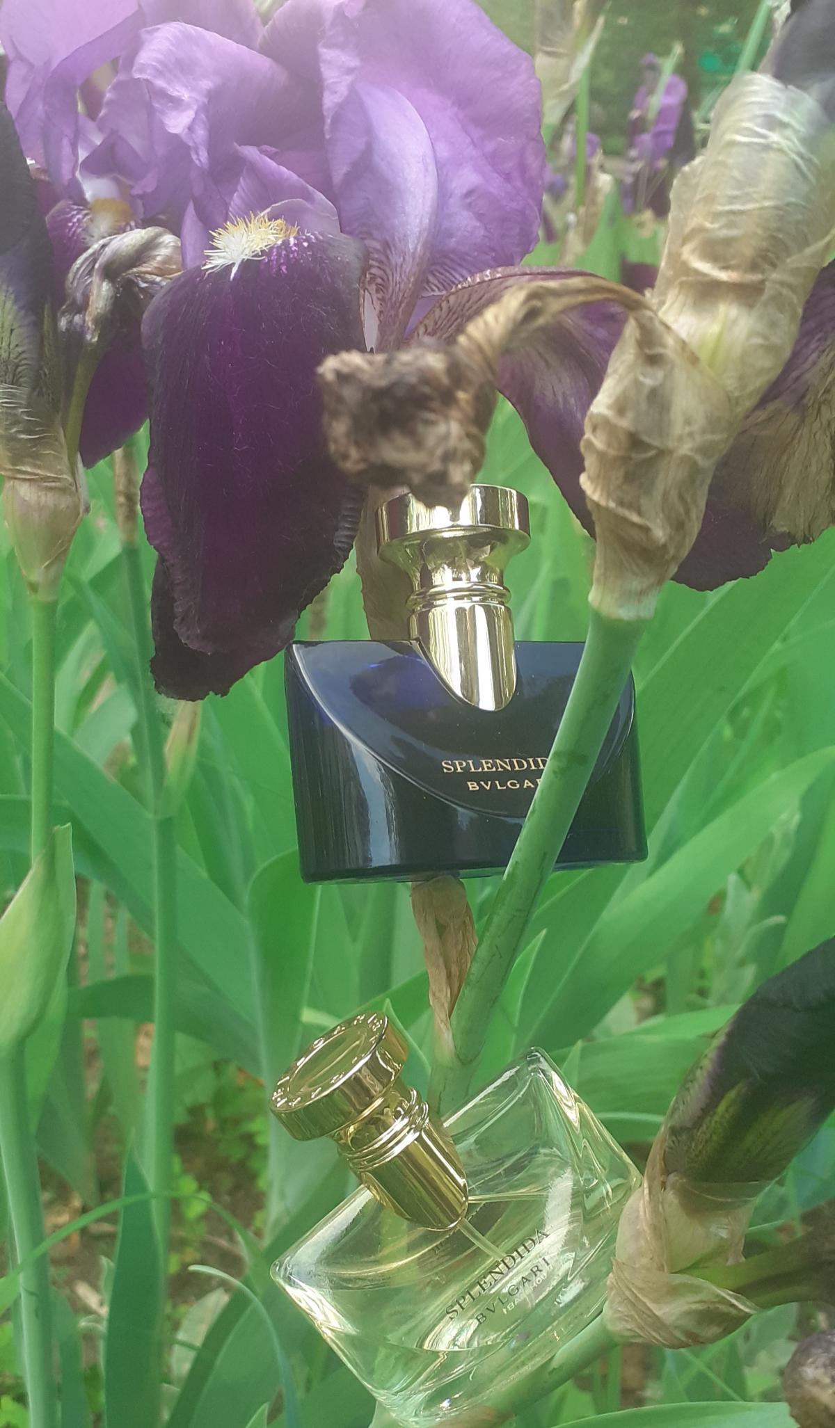 Splendida Iris d'Or Bvlgari άρωμα - ένα άρωμα για γυναίκες 2017