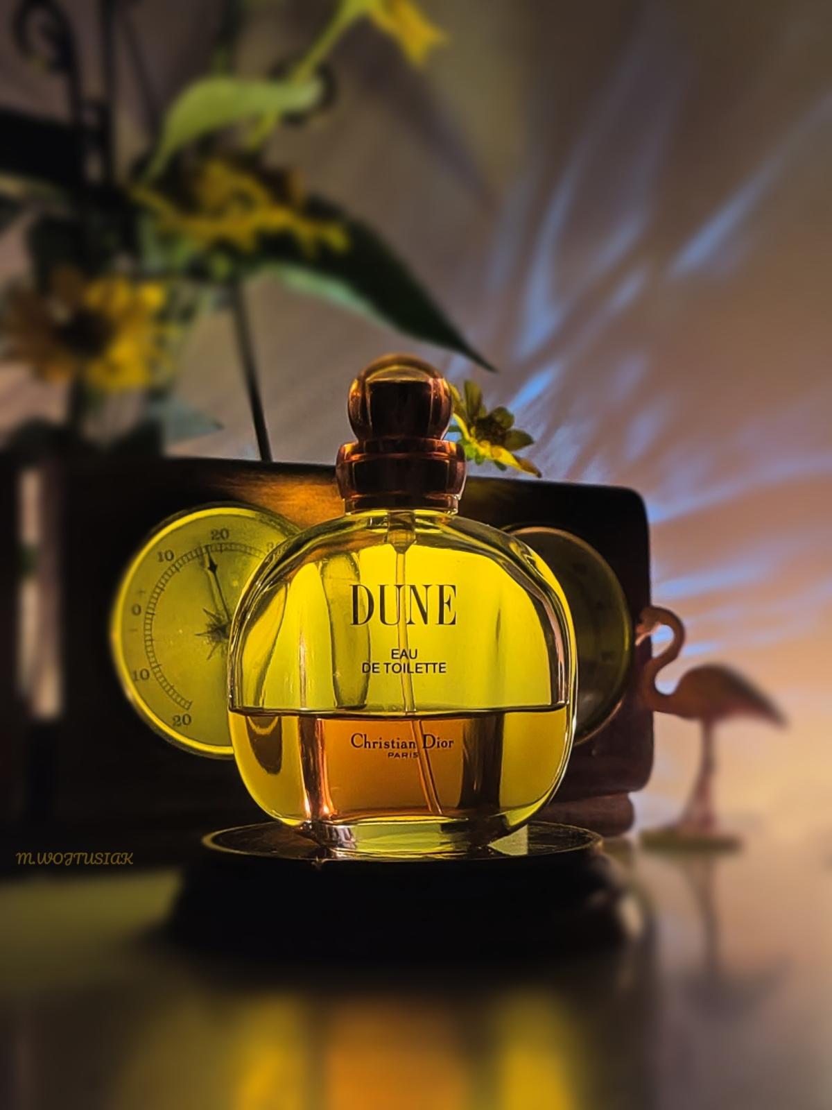 Dune Dior perfume - a fragrância Feminino 1991