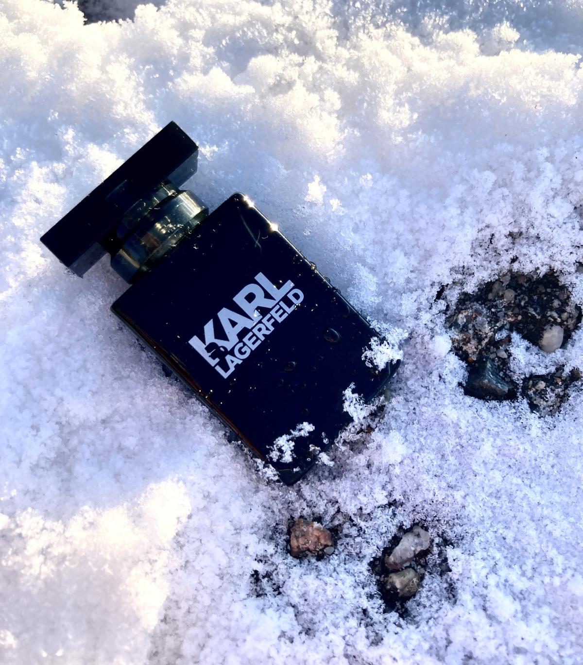 Karl Lagerfeld for Him Karl Lagerfeld Kolonjska voda - parfem za ...