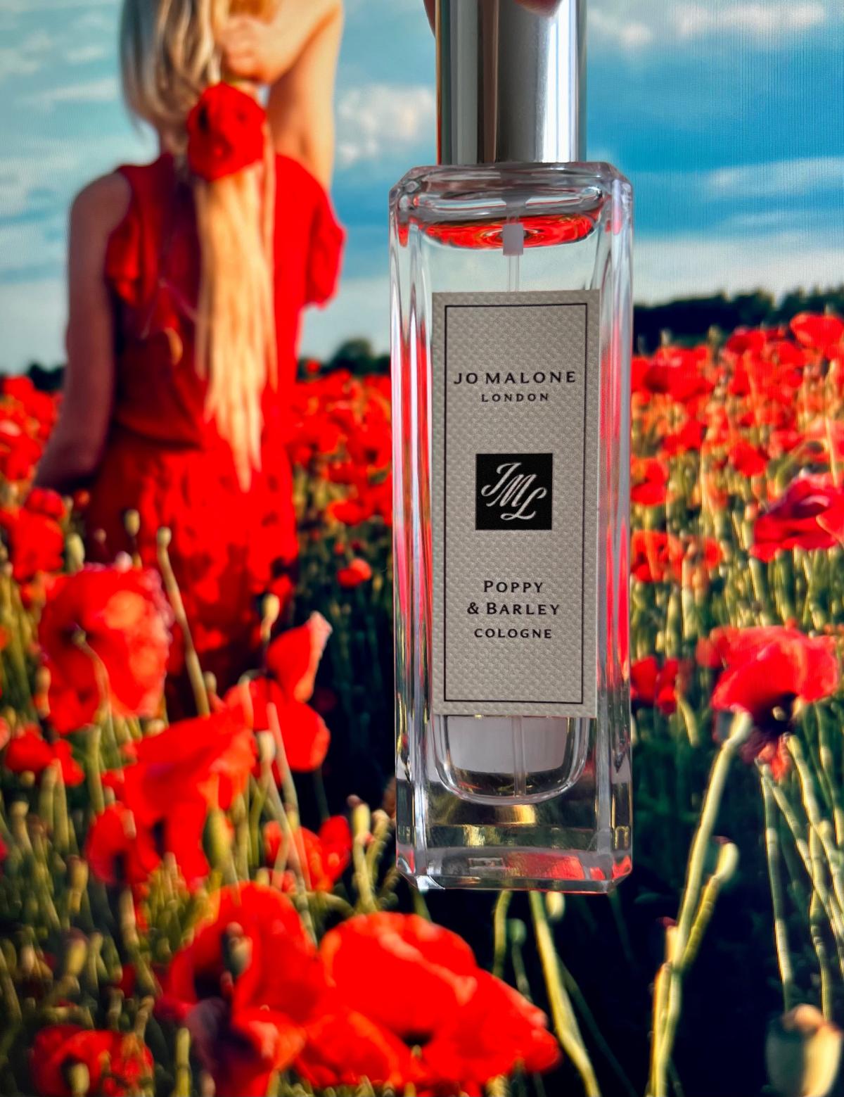 Poppy & Barley Jo Malone London perfume - a fragrância Compartilhável 2019