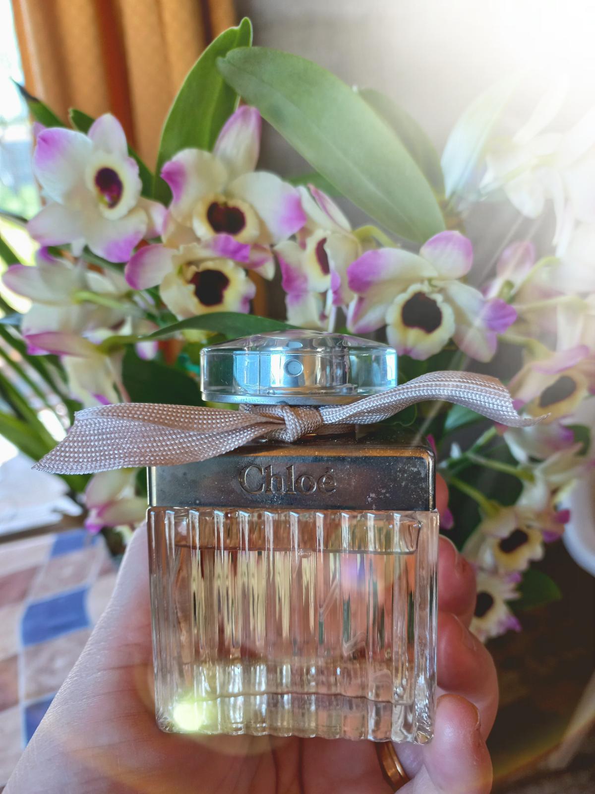 Chloe Eau de Parfum Chloé parfem - parfem za žene 2008