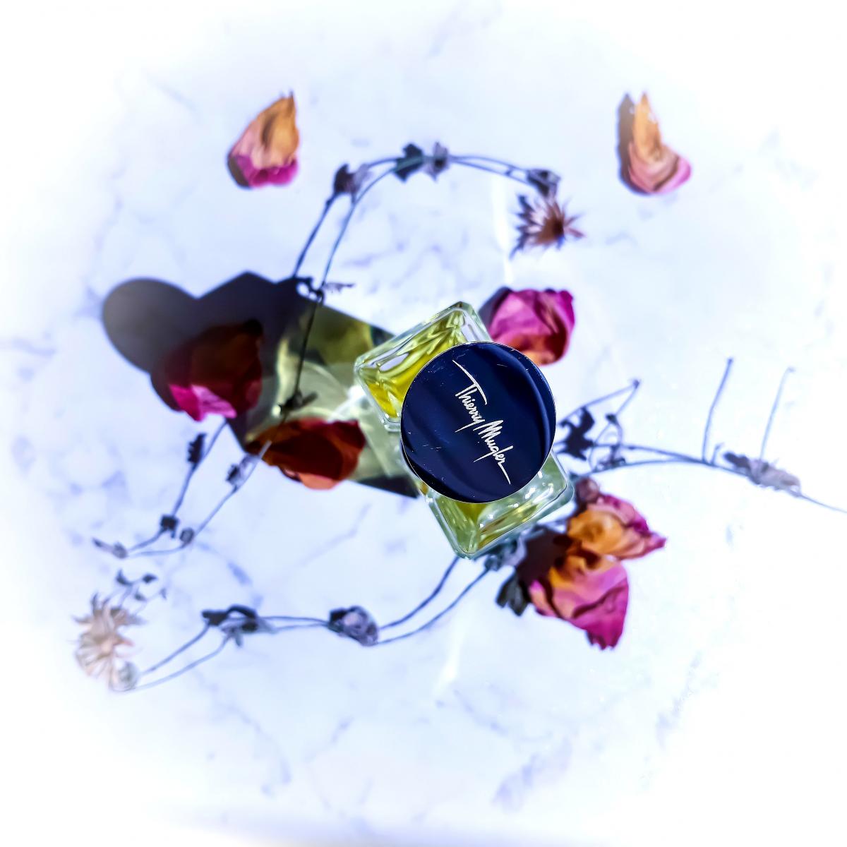 Mirror Mirror Collection - Miroir Des Vanites Mugler Colonia - una ...