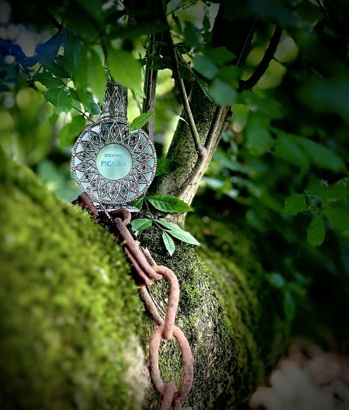 Rusalka Русалка Brocard Parfum - ein neues Parfum für Frauen 2022
