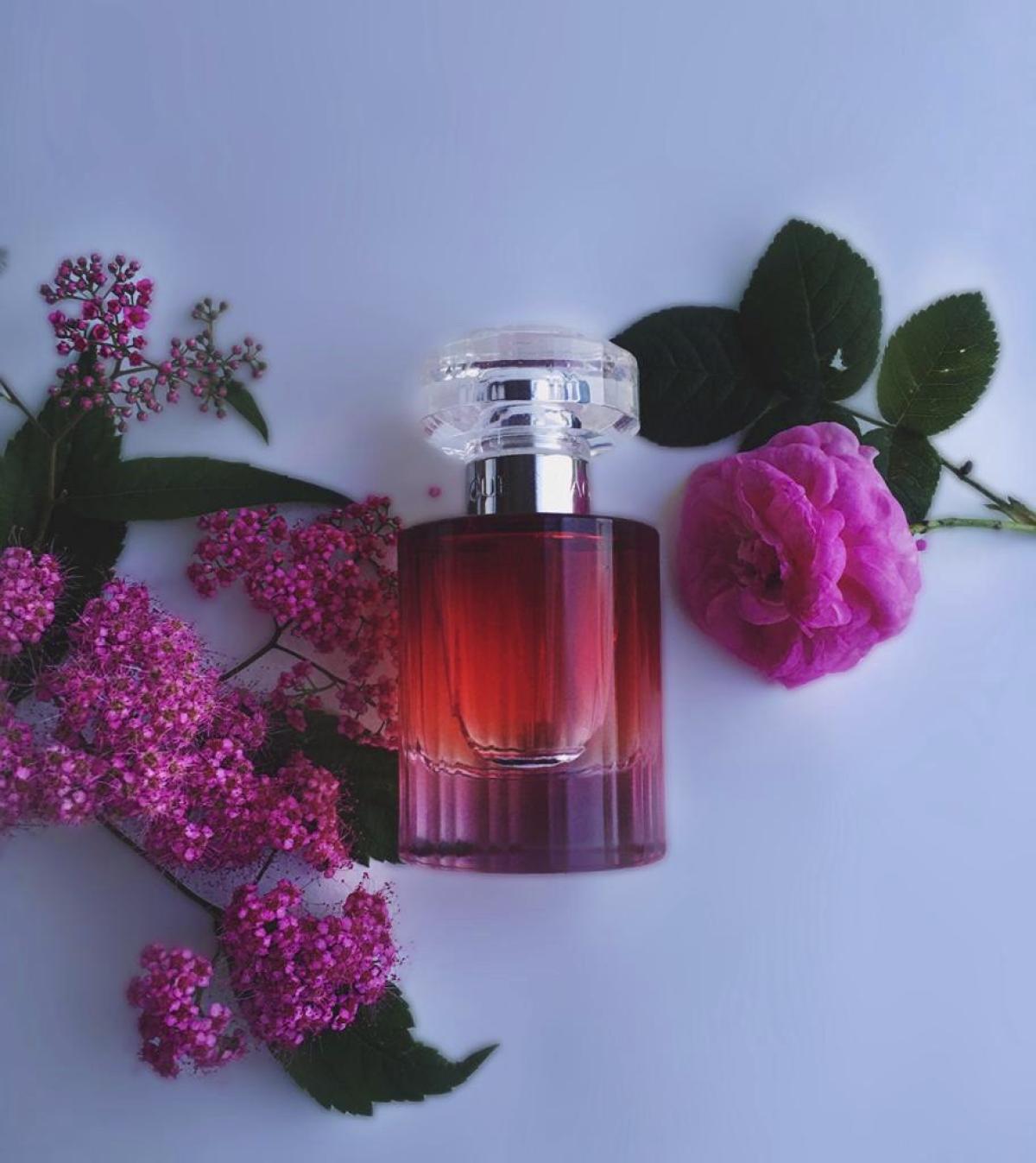 Magnifique Lancôme parfum - un parfum pour femme 2008