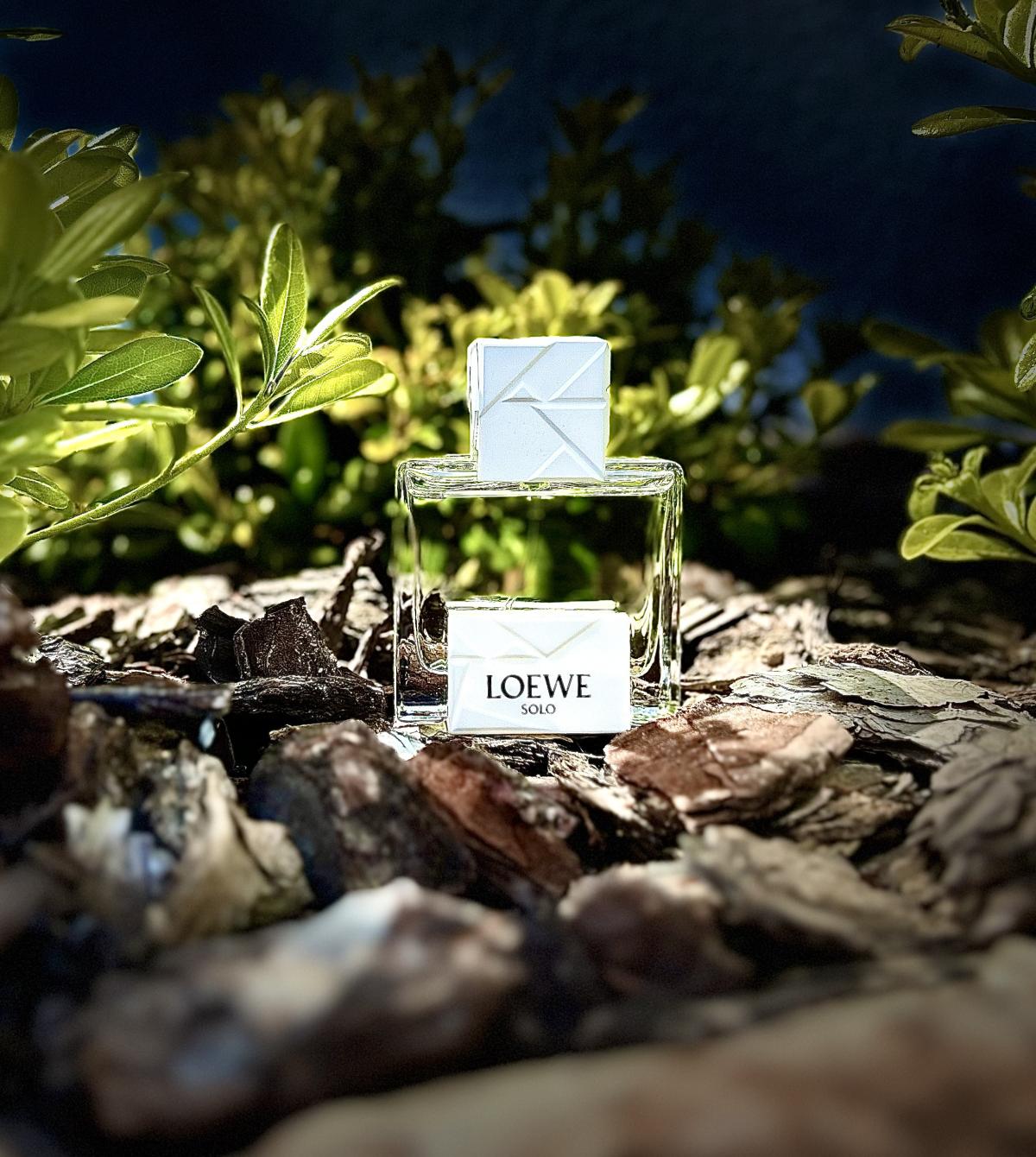 Solo Loewe Origami Loewe Colônia - a fragrância Masculino 2018