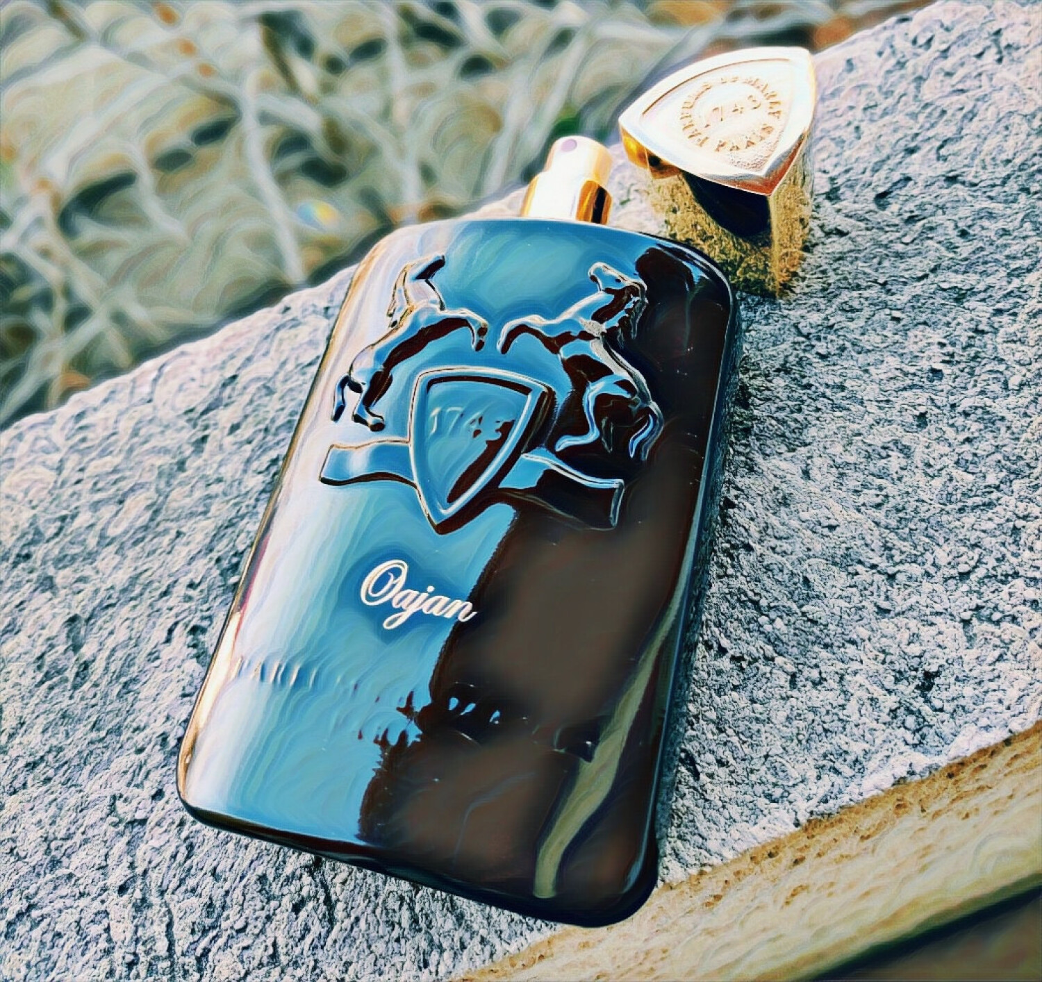 Oajan Parfums de Marly - una fragranza unisex 2013