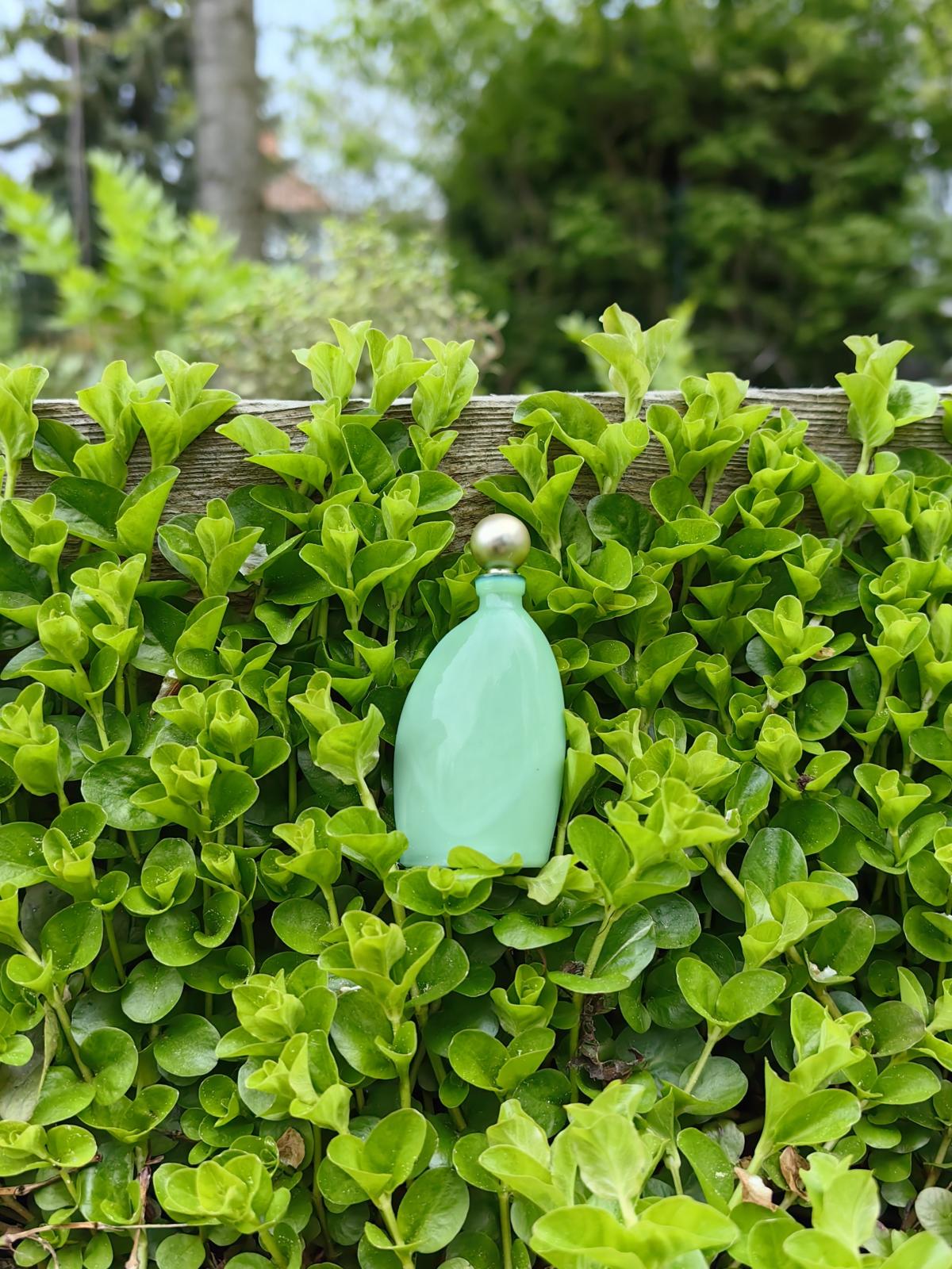 Eden Cacharel perfume - a fragrância Feminino 1994