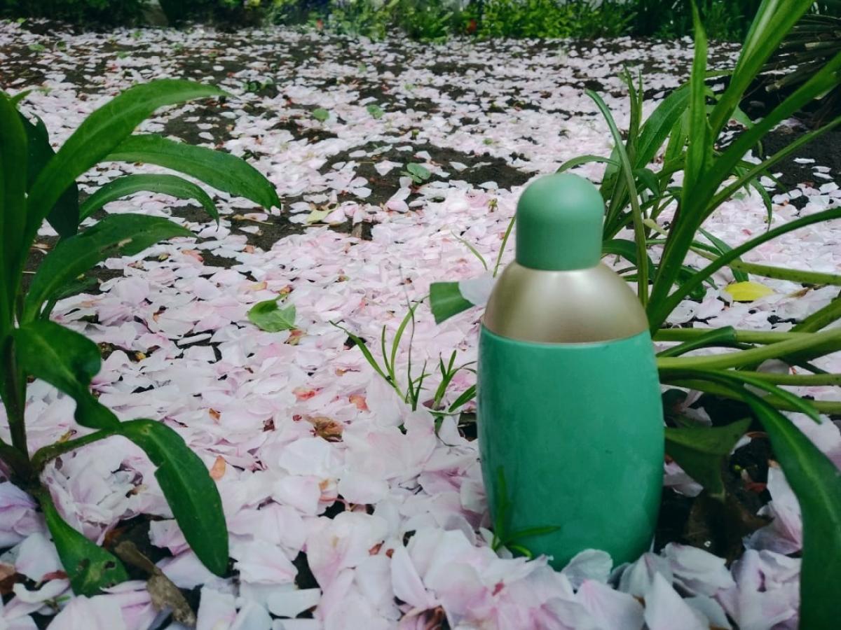 Eden Cacharel perfume - a fragrância Feminino 1994