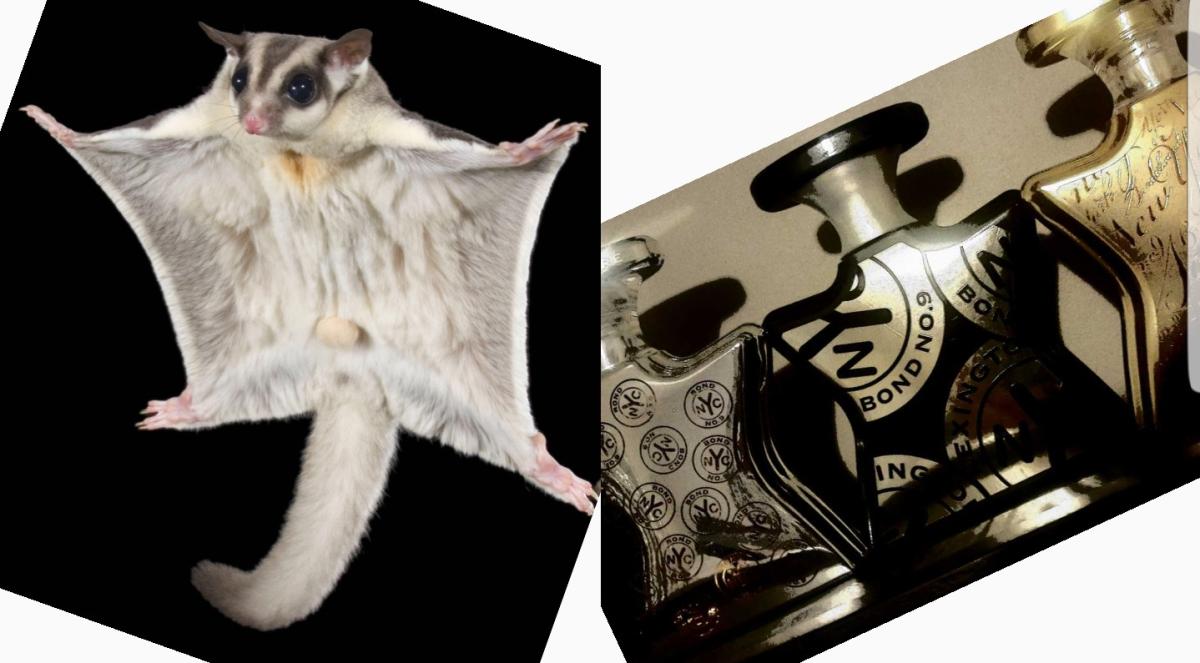 Cooper Square Bond No 9 fragancia - una fragancia para Hombres y ...