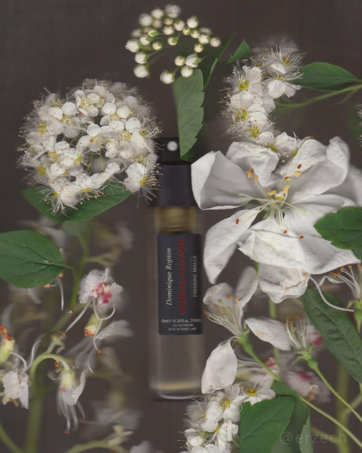 Carnal Flower Frederic Malle fragancia - una fragancia para Hombres y ...