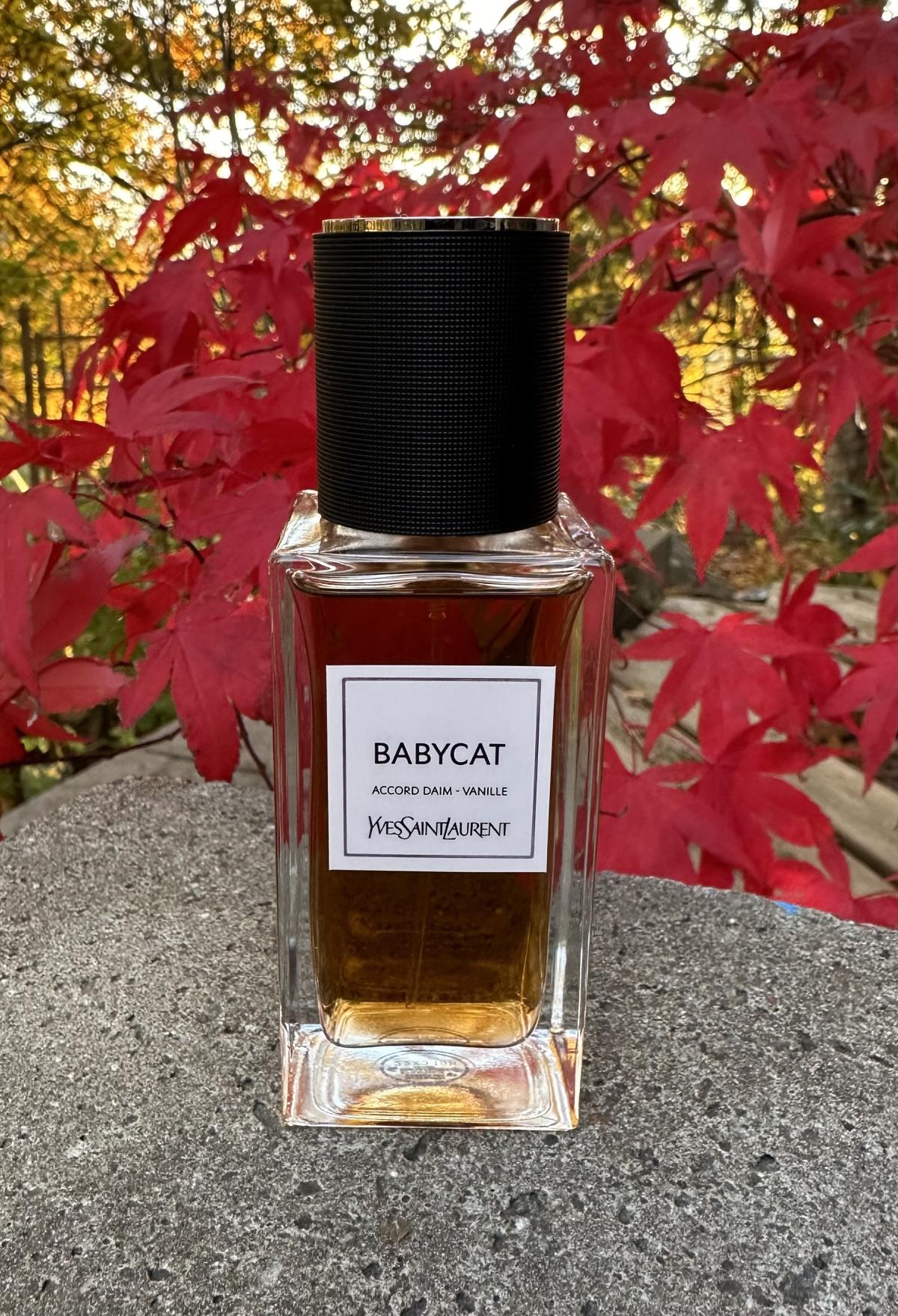 Babycat Yves Saint Laurent - una novità fragranza unisex 2022