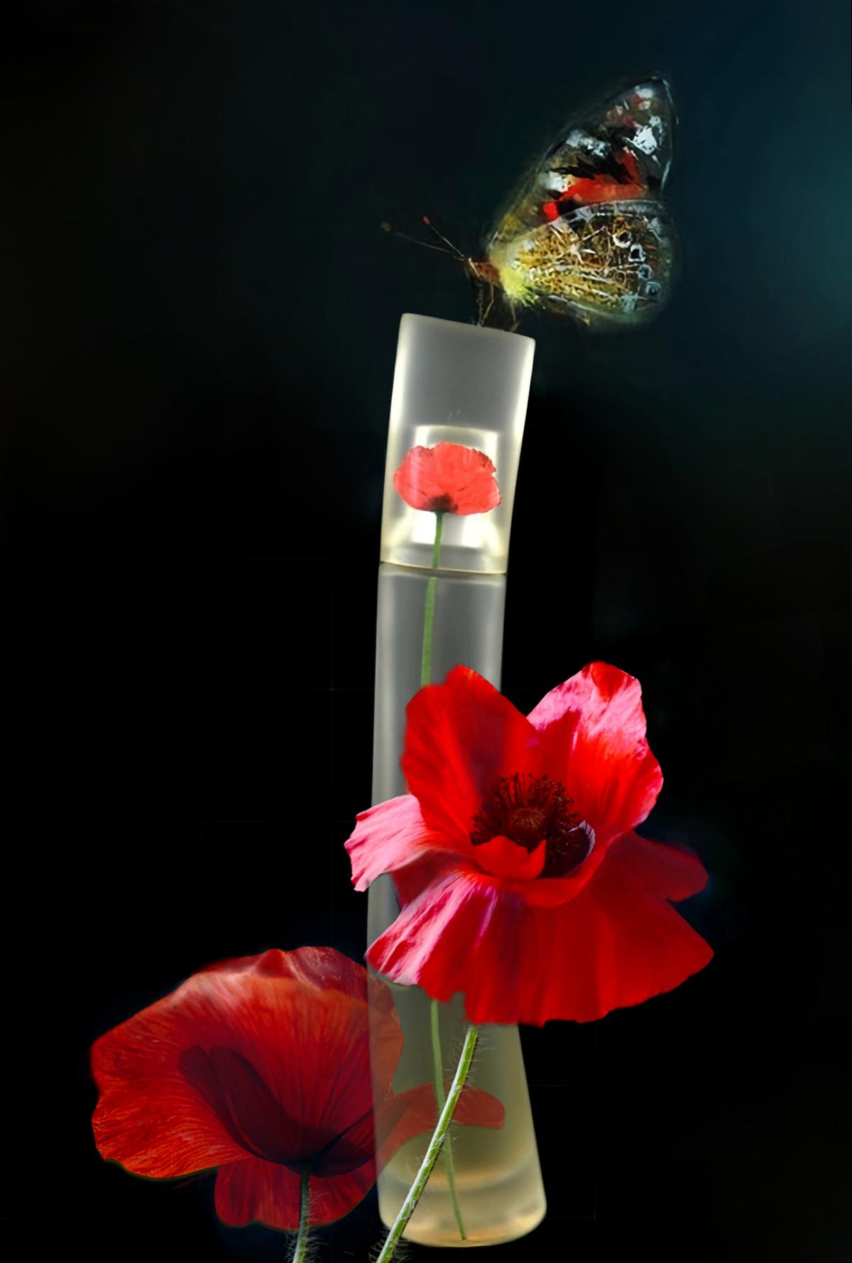 Flower by Kenzo Summer Fragrance 2004 Kenzo Parfum - ein es Parfum für ...