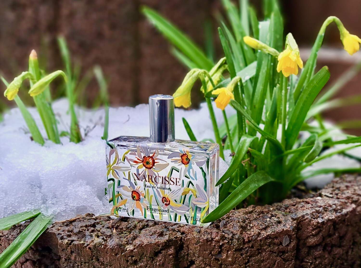 Narcisse Fragonard parfum - un nouveau parfum pour femme 2023