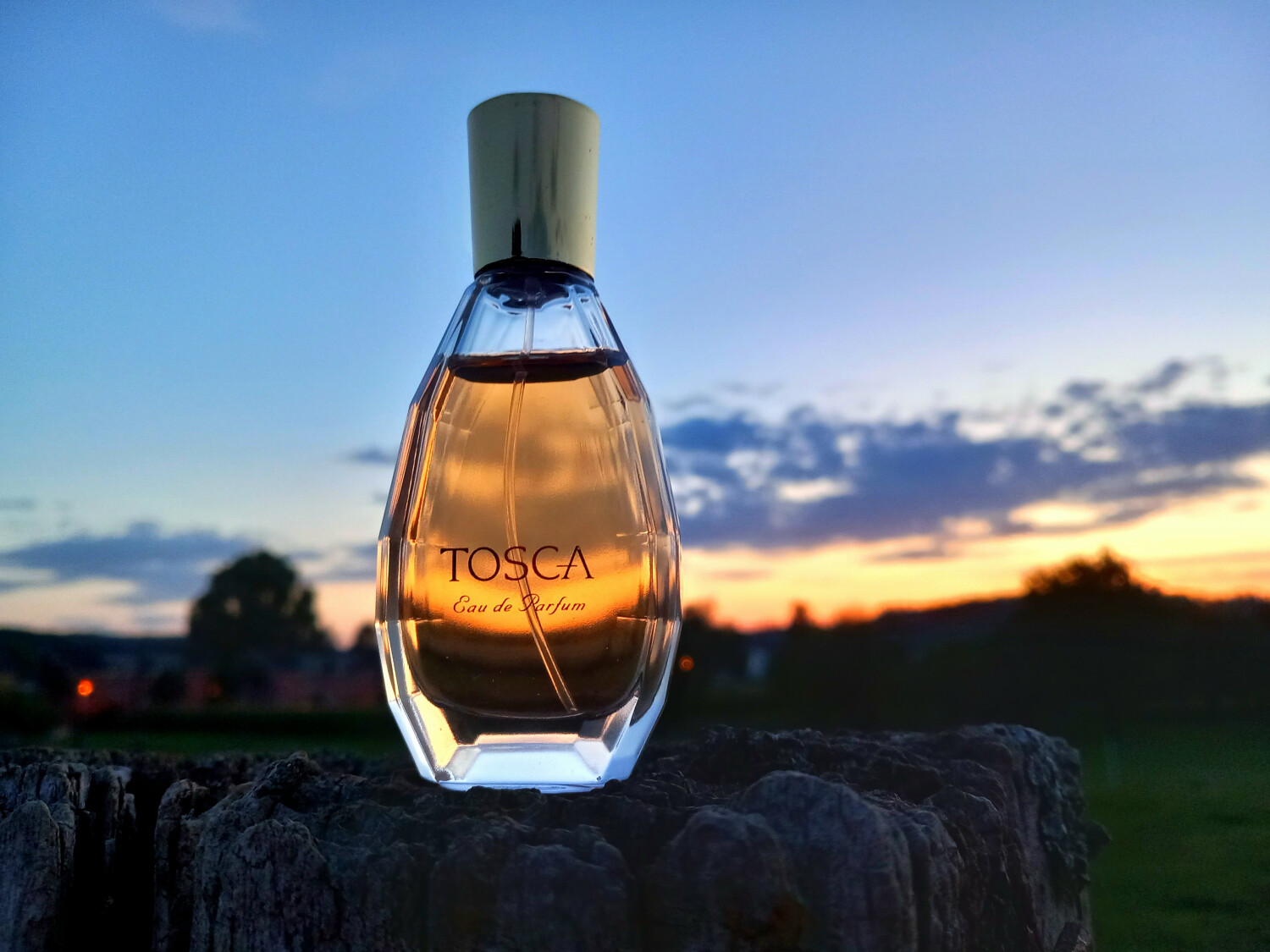 Tosca Tosca Parfum - ein es Parfum für Frauen 1921