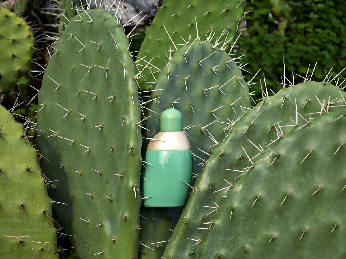 Eden Cacharel perfume - a fragrância Feminino 1994