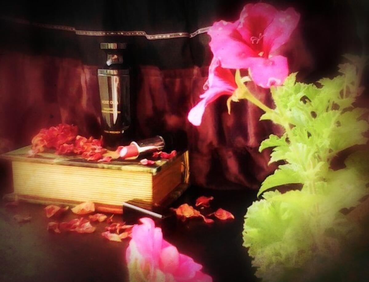 Rose Oud Yves Rocher parfum - un parfum de dama 2016