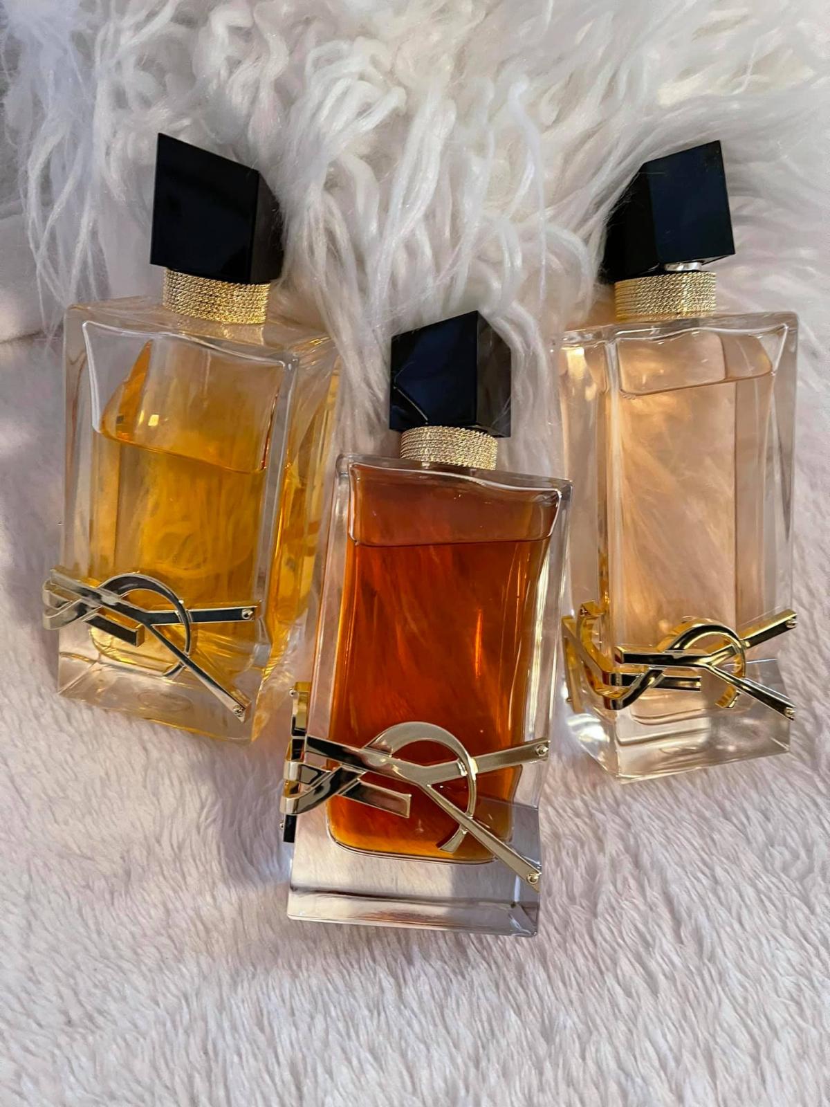 Libre Intense Yves Saint Laurent - una novità fragranza da donna 2020