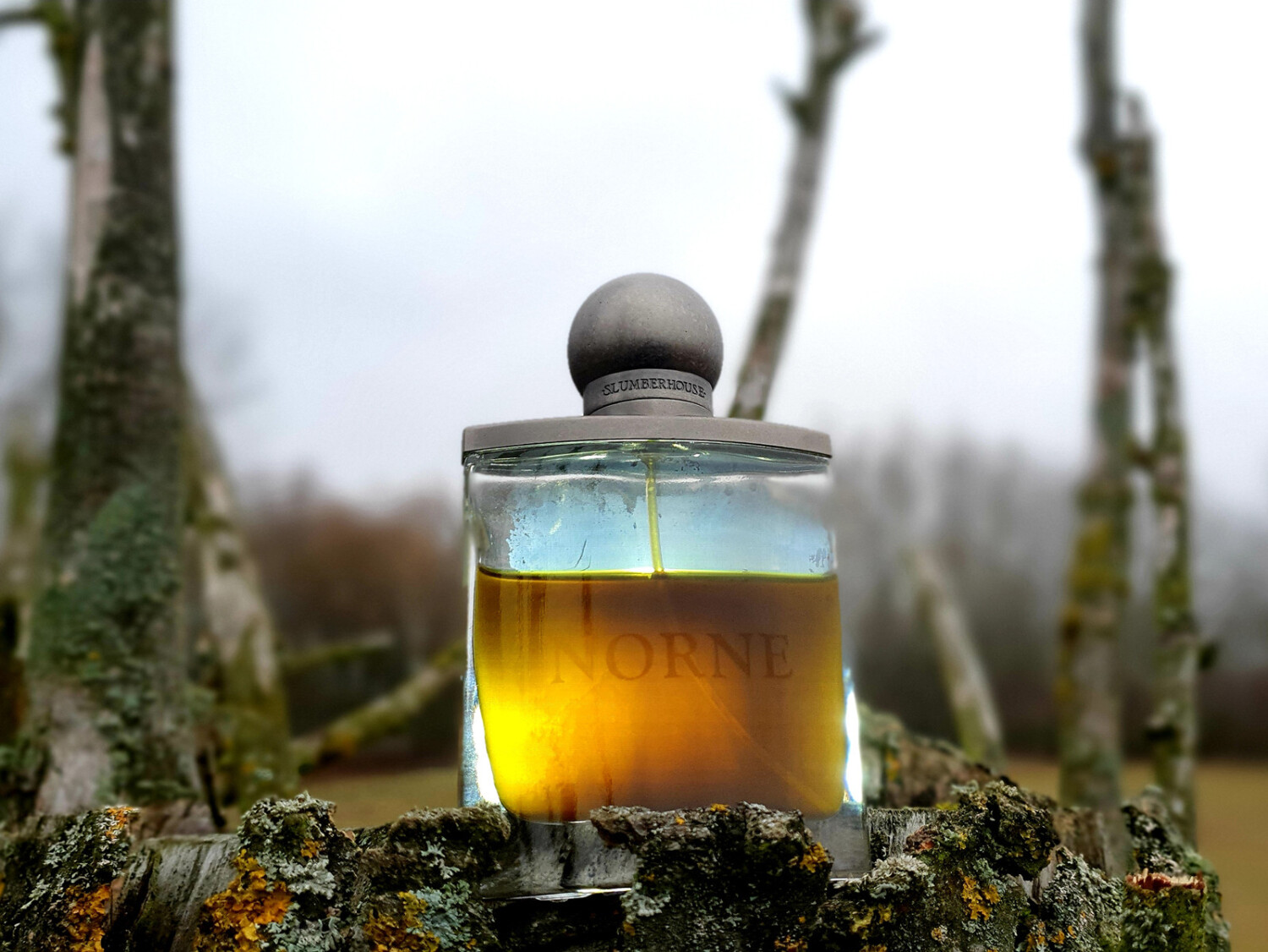 Norne Slumberhouse parfum - un parfum pour homme et femme 2012