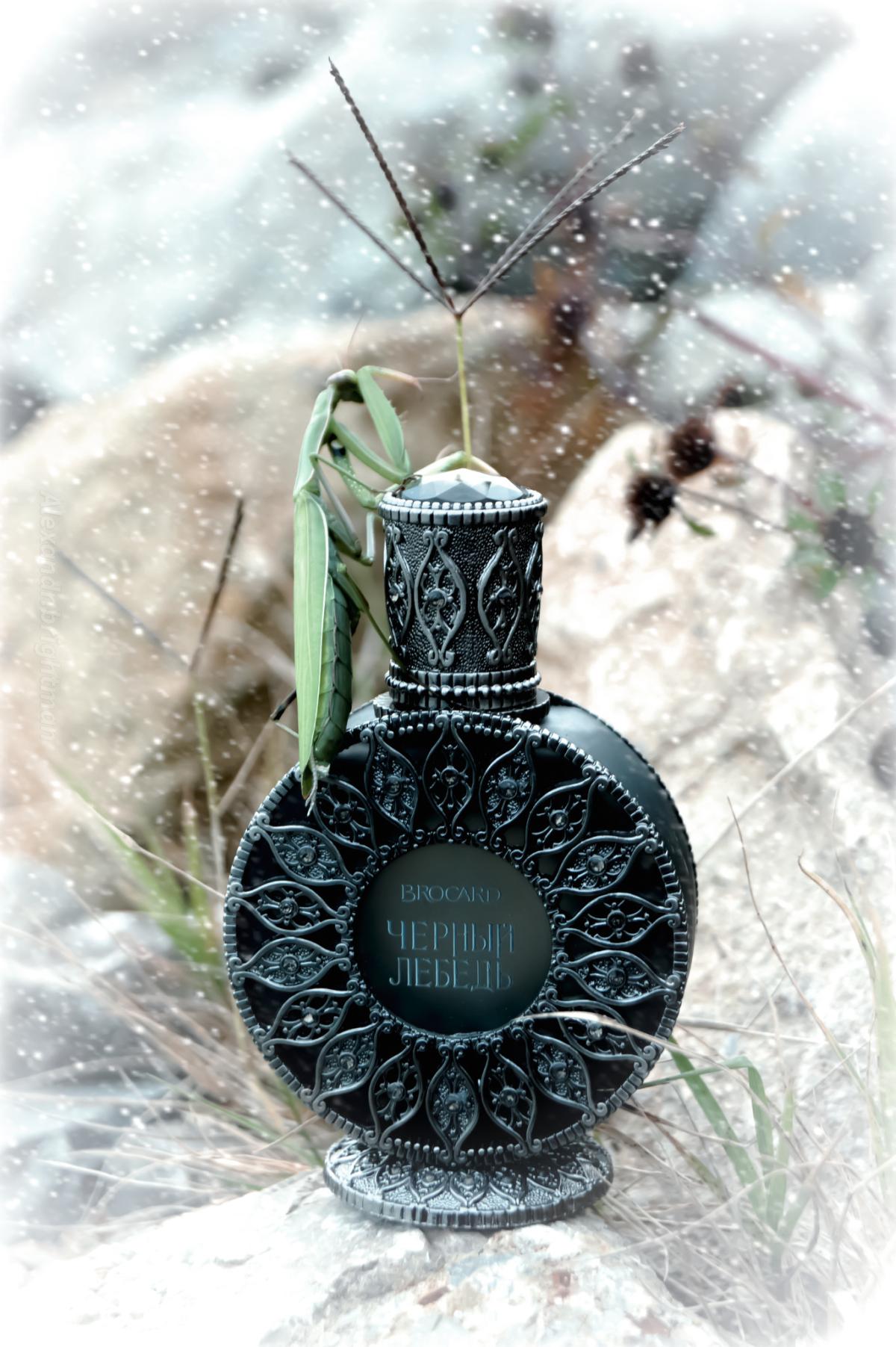 Black Swan (Черный лебедь) Brocard Parfum - ein es Parfum für Frauen 2019
