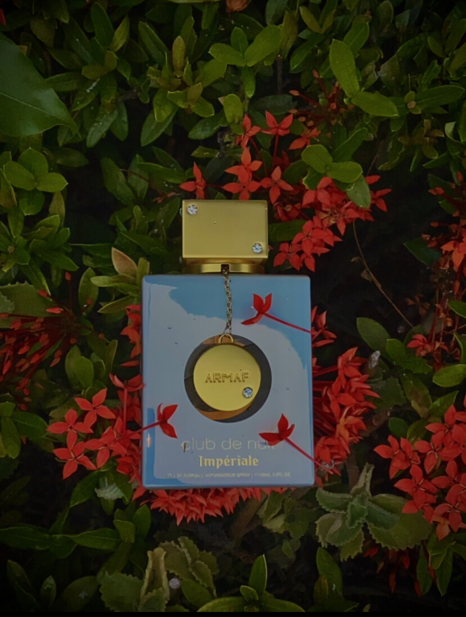 Club de Nuit White Imperiale Armaf perfume - a novo fragrância Feminino ...