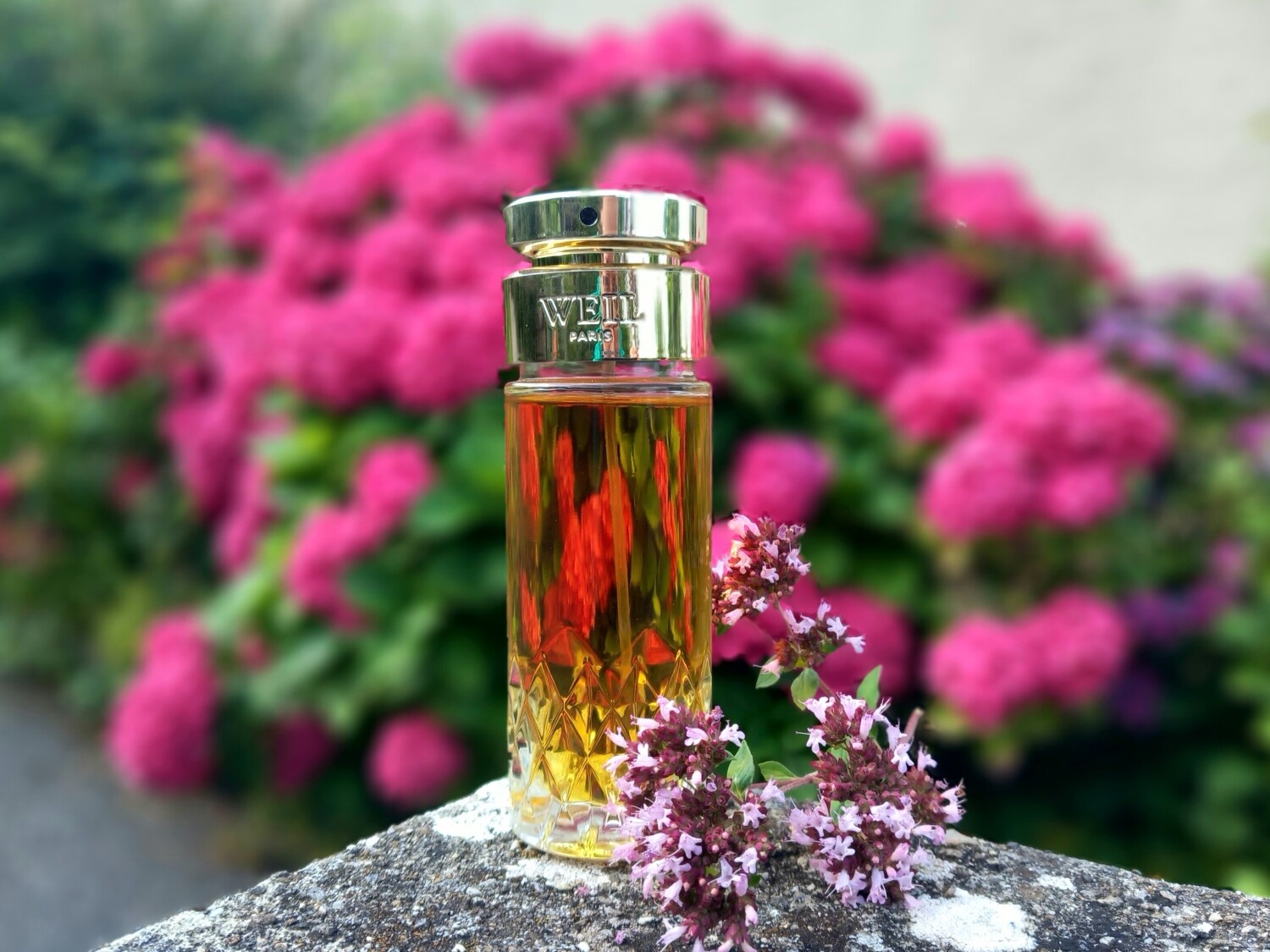 Weil Le Parfum Weil fragancia - una fragancia para Mujeres 2019