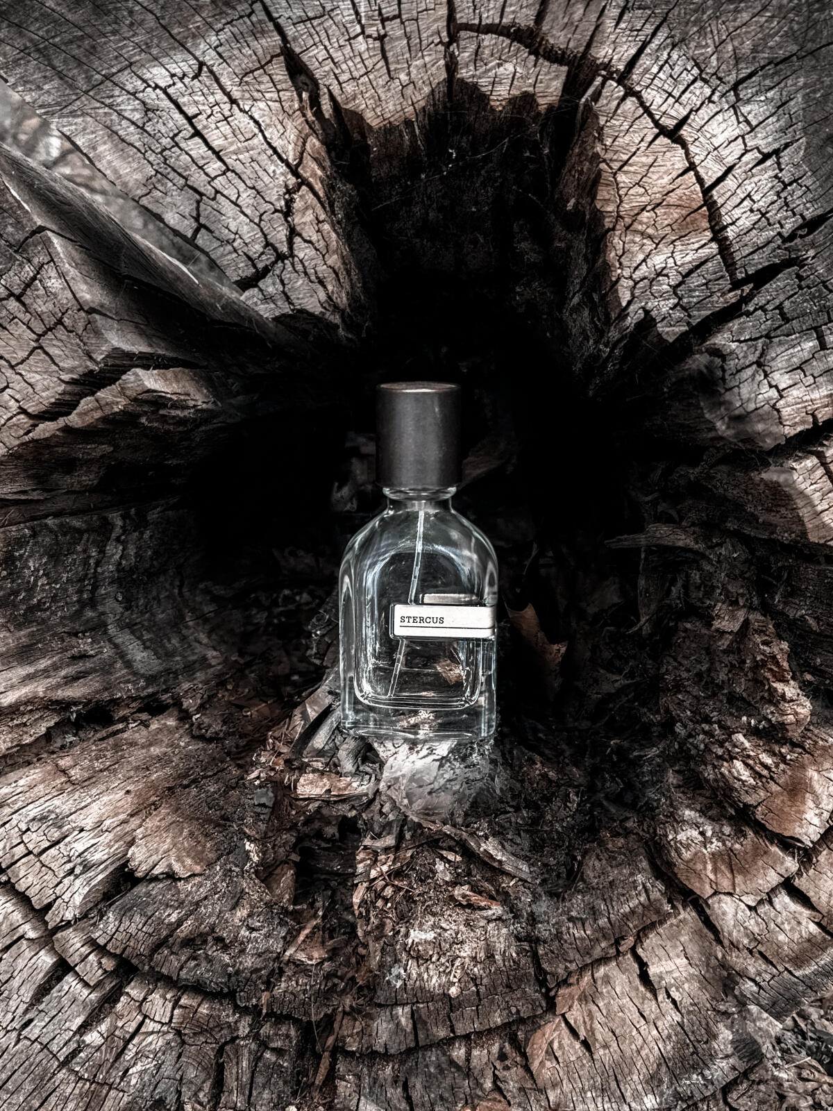 Stercus Orto Parisi fragancia - una fragancia para Hombres y Mujeres 2014