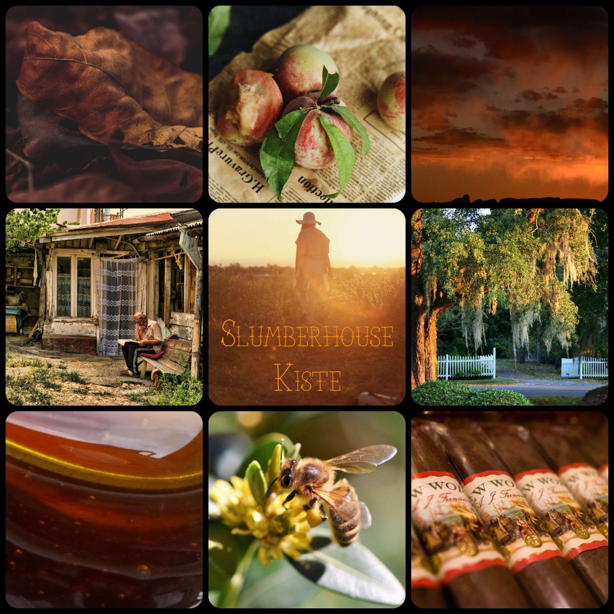 Kiste Slumberhouse Parfum - ein es Parfum für Frauen und Männer 2015