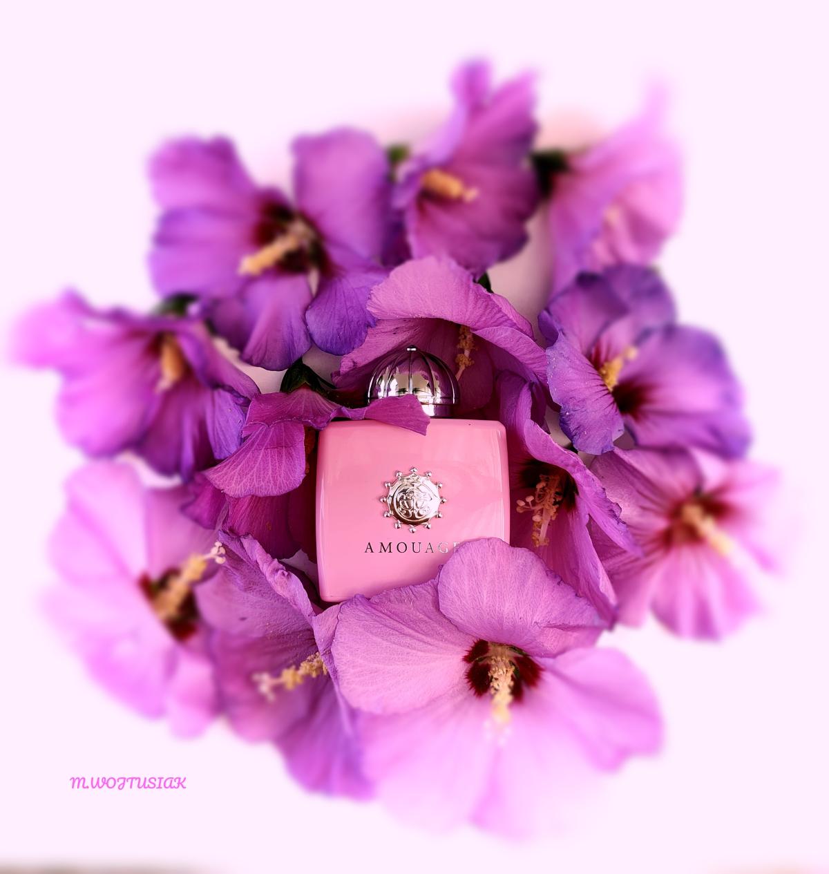 Blossom Love Amouage parfem - parfem za žene 2017