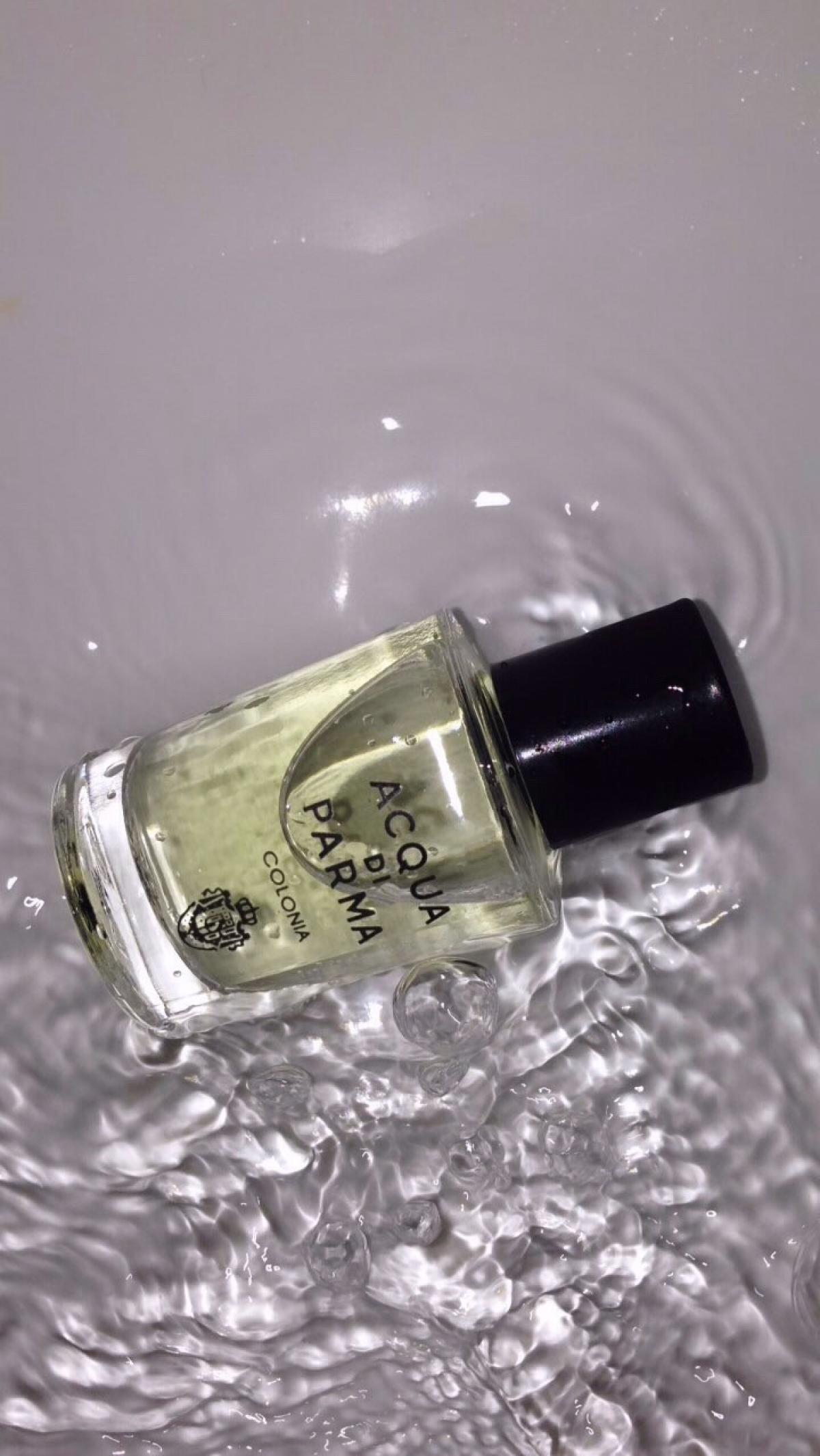 Acqua di Parma Colonia Acqua di Parma Parfum - ein es Parfum für Frauen ...