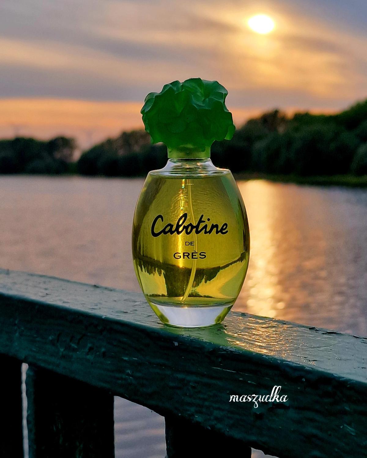 Cabotine Grès fragancia - una fragancia para Mujeres 1990