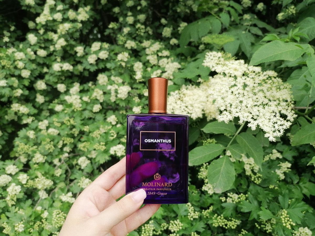 Osmanthus Eau De Parfum Molinard Fragancia Una Fragancia Para Hombres